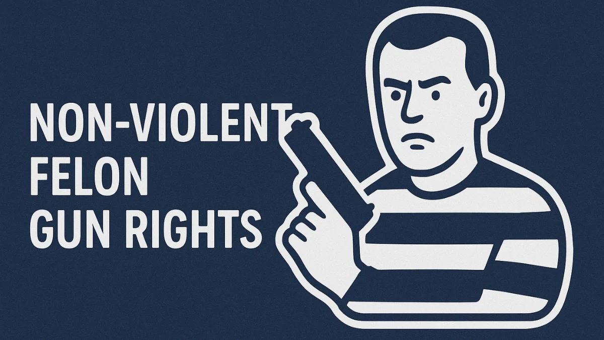 Non-Violent Felon Gun Rights - Felon Friendly