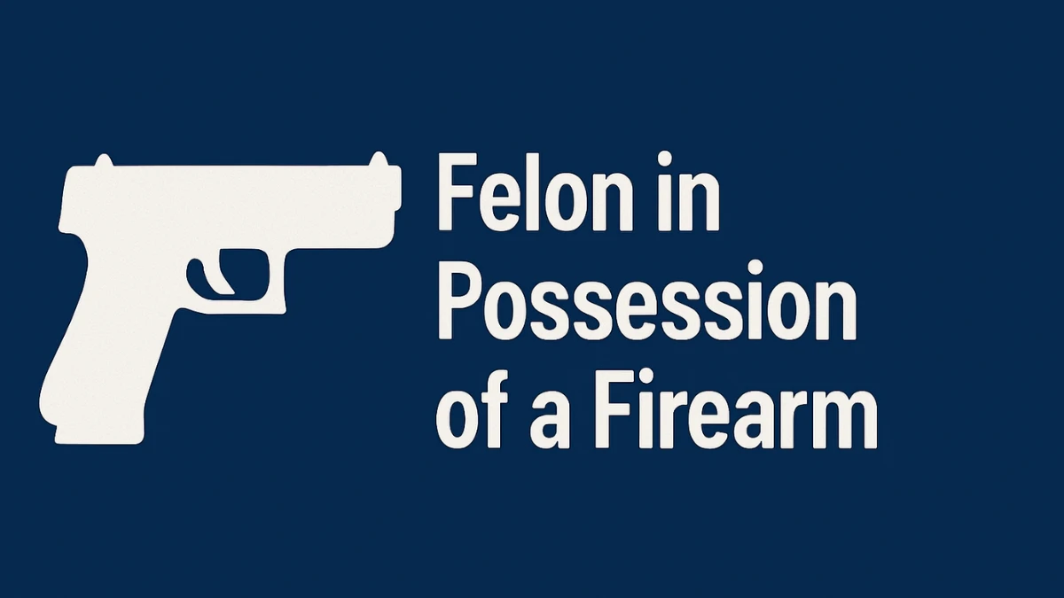 Felon in Possession of a Firearm: Laws, Penalties & Legal Defenses ...