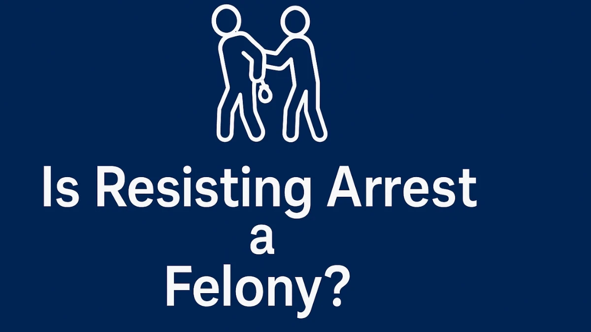 Is Resisting Arrest a Felony? State Laws, Penalties & Legal ...
