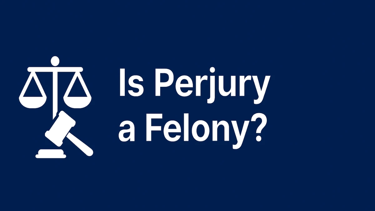 Is Perjury a Felony? Penalties and Law - Felon Friendly