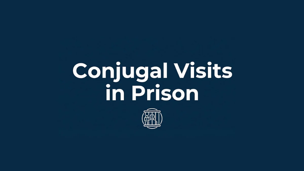 Conjugal Visits in Prison: Psychological & Social Consequences - Felon ...